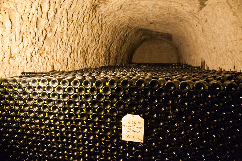 Maison Taittinger / The house of Taittinger Champagne - Vine and the Olive