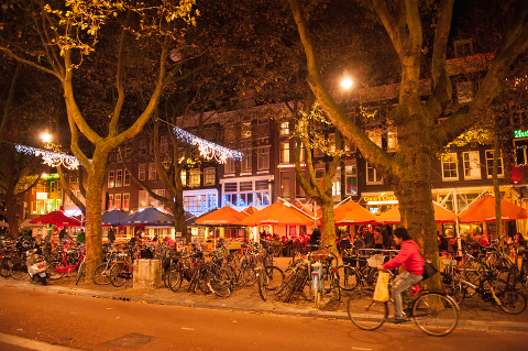 Pays-Bas / The Netherlands - Vine and the Olive